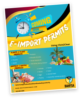 Bahamas Agricultural Food Safety Authority | BAHFSA